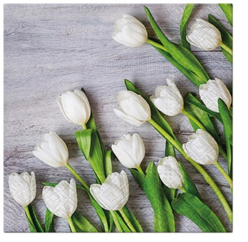 PAW Servietten Tulpen kaufen bei Trendversand GmbH